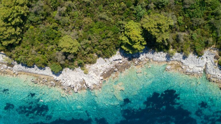 ESA Coastal Blue Carbon Project